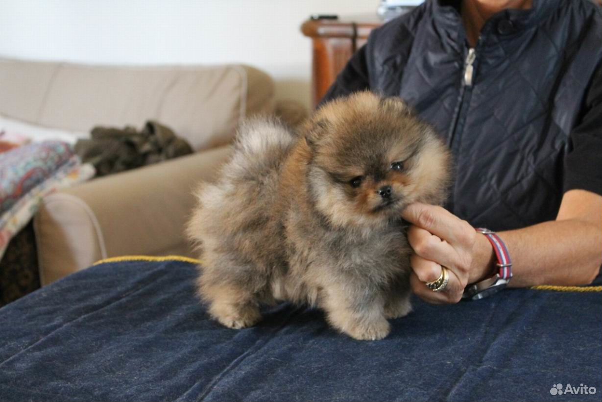 Малышок с ноготок