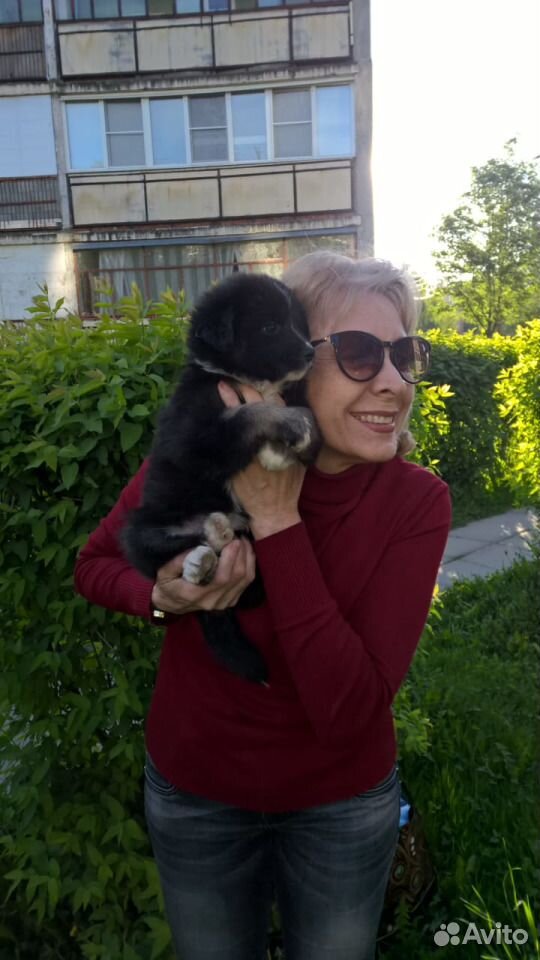 Забавные карапузы 2,5 мес. - в добрые руки