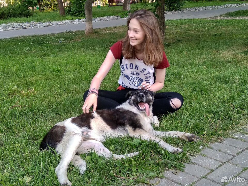 Щенок самый добрый в семью с детьми