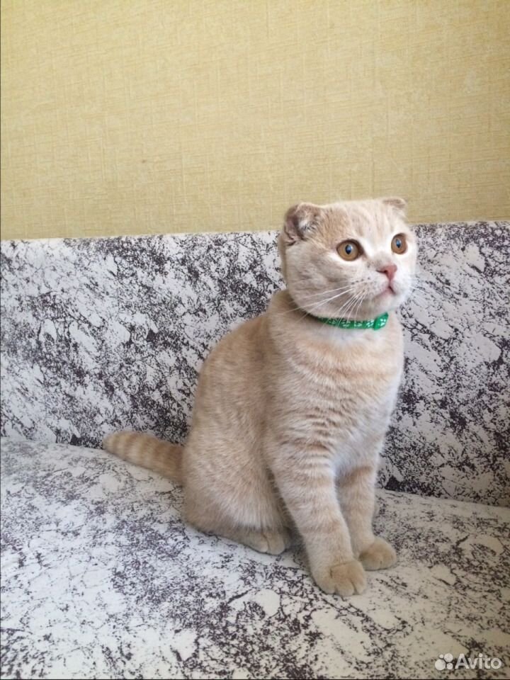 Вязка