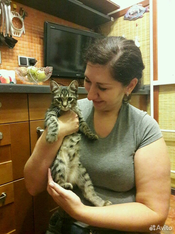 Котёнок Васька ищет дом