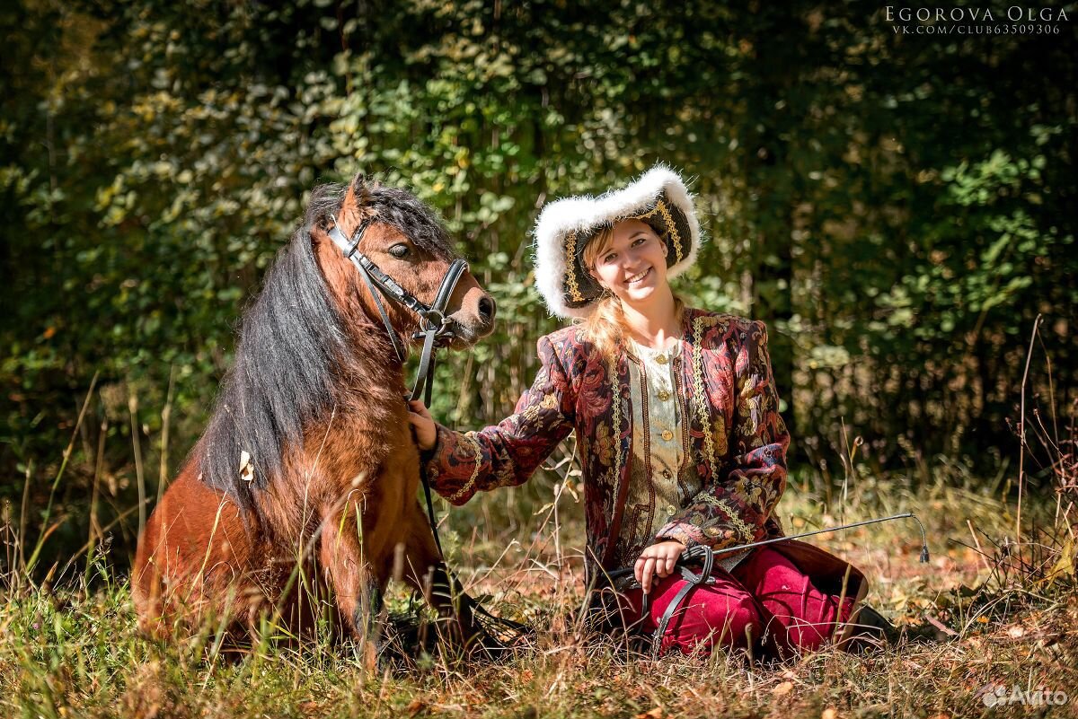 Роскошный мини жеребец