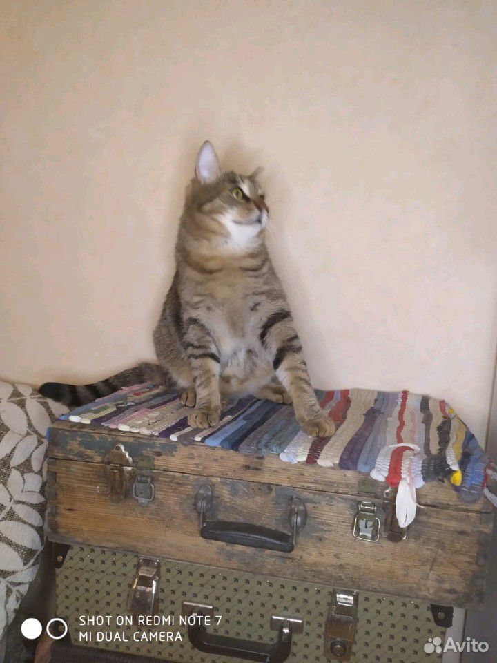 Никос