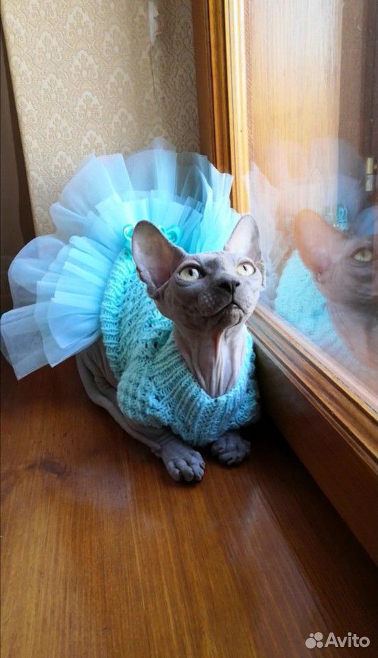 Девочка бамбино