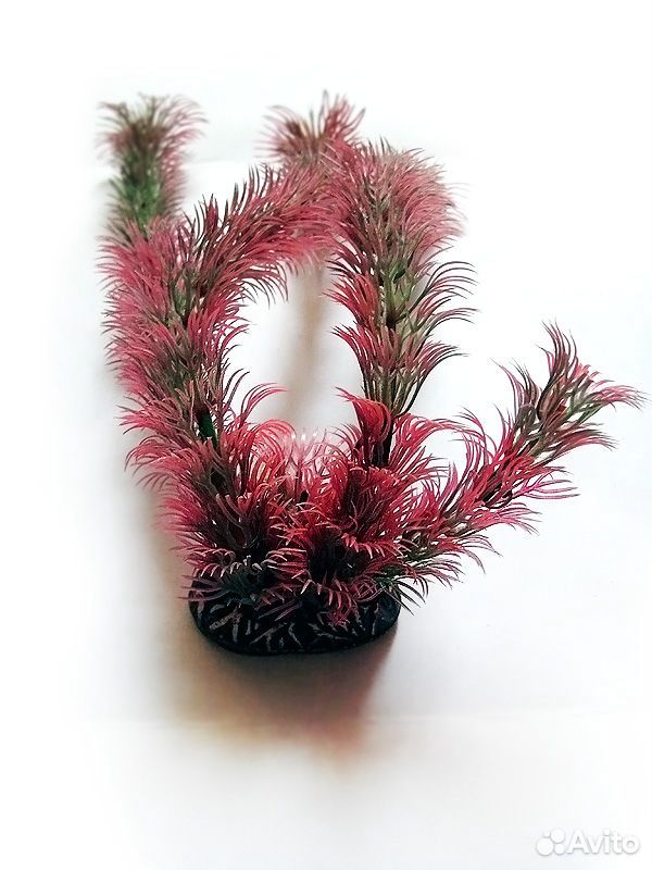 Искусственное растение «Амбулия»