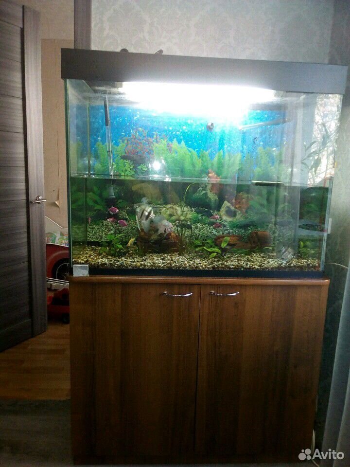 Аквариум 220литров с тумбой