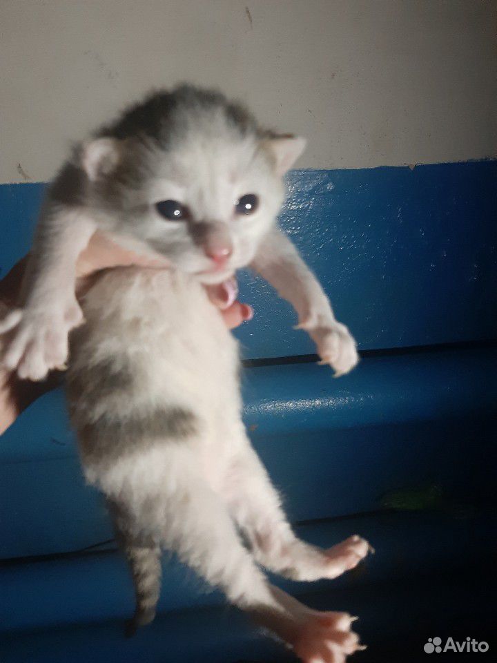 Милый малыш с доставкой на дом