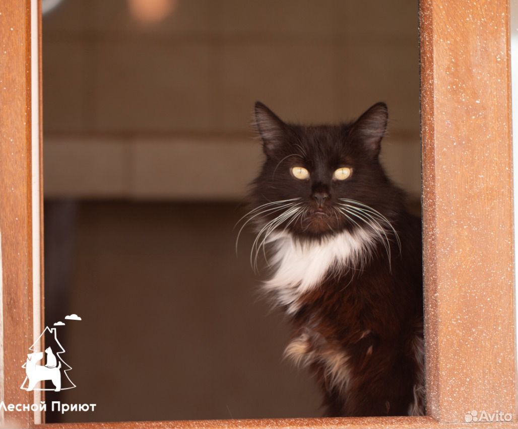 Крошка Джекки очень хочет домой