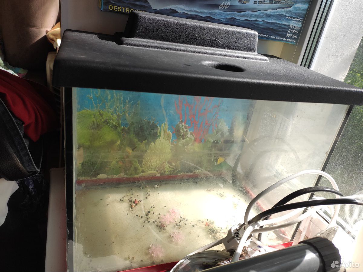 Аквариум