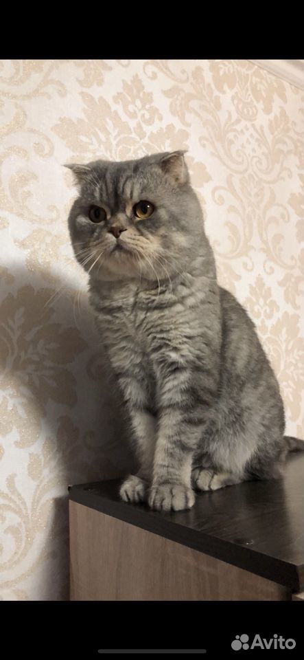 Вязка