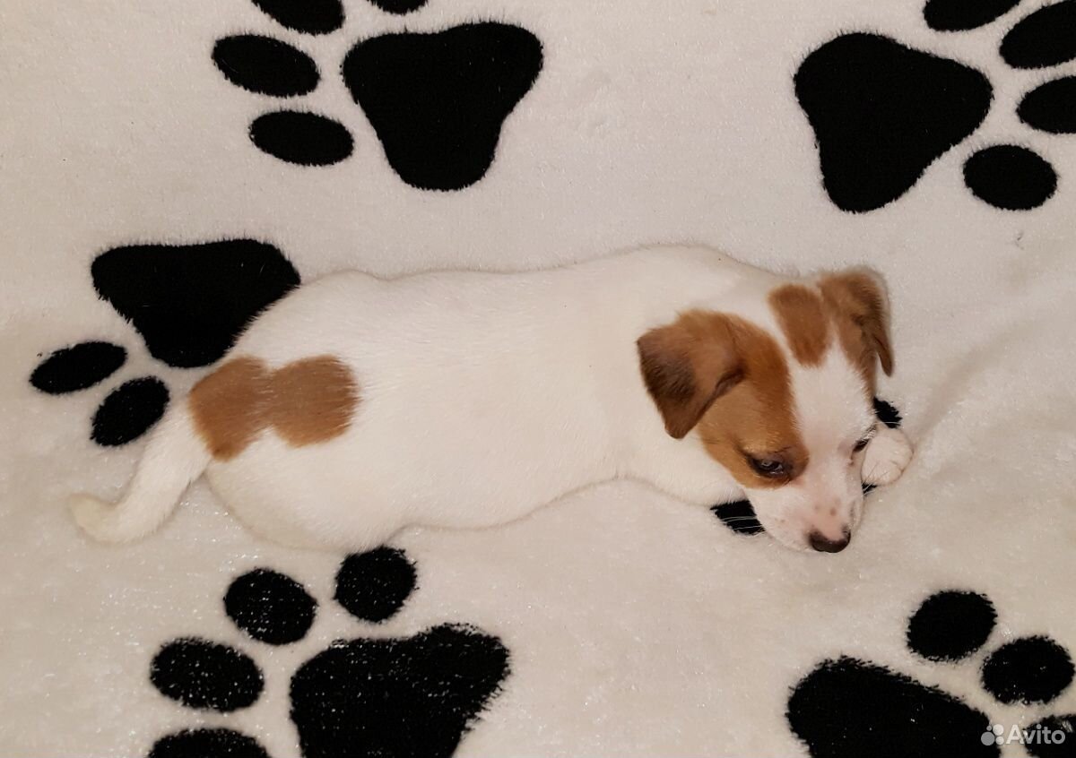 Классный пацан