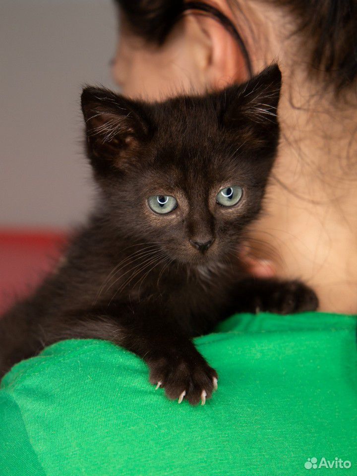 Космос 2 мес