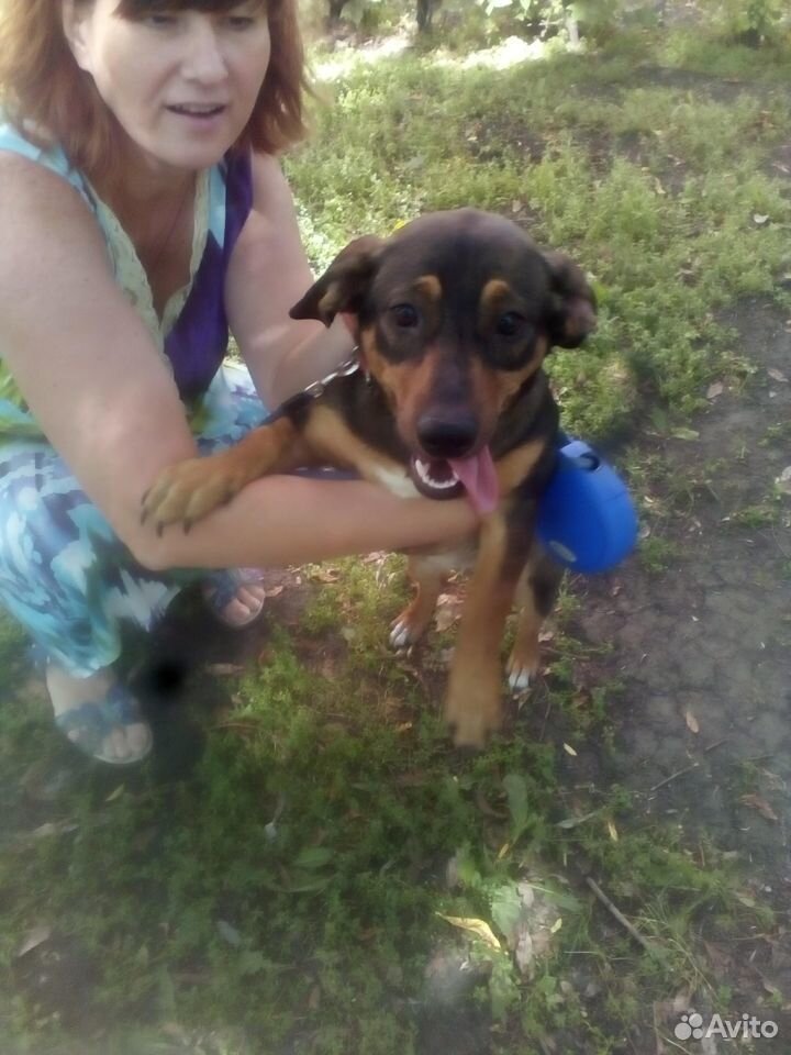 Жизнерадостный колобочек Тасенька по-прежнему ищет