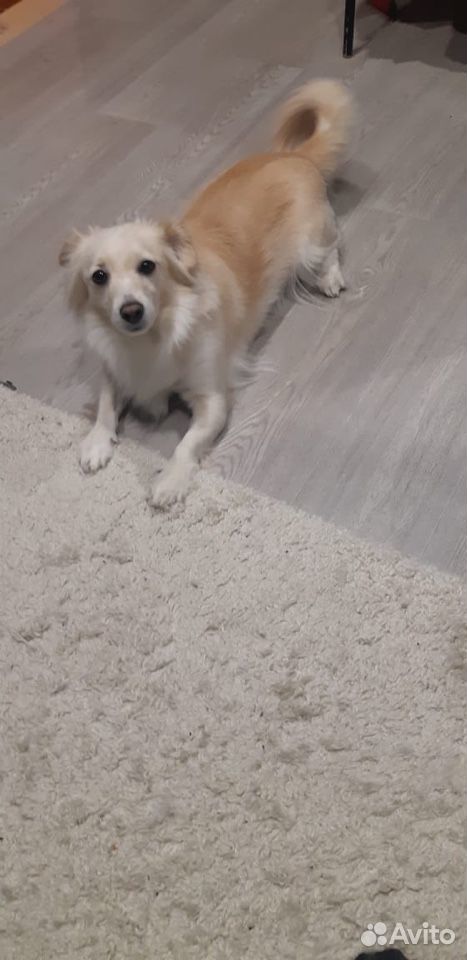 Ищем жениха