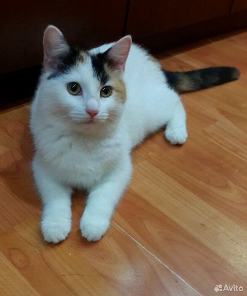 Девочка конфетка