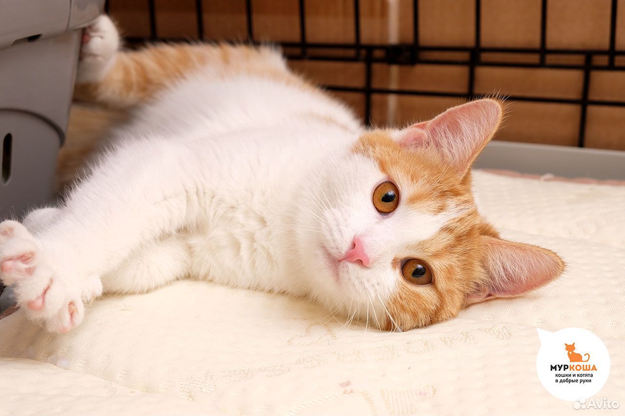 Малышка Катрина небывалая красотка