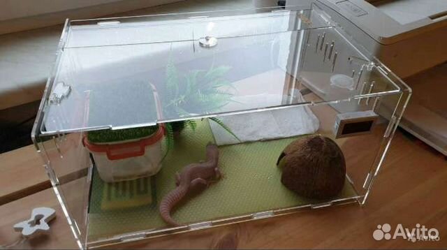 Акриловый террариум для рептилий