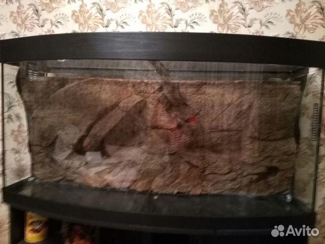 Аквариум juwell 280л