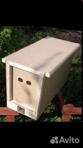 Пчелопакеты