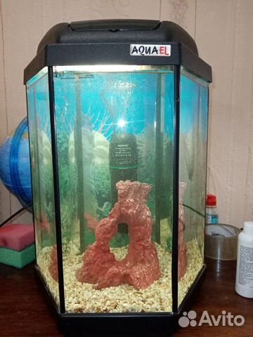 Аквариум