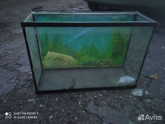 Аквариум