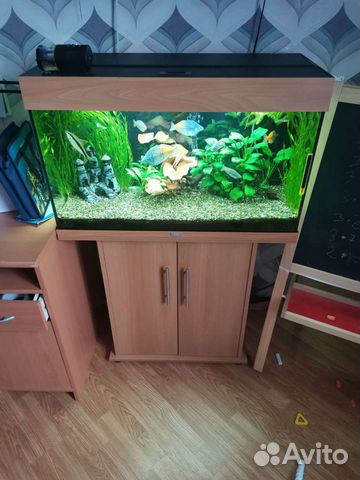 Аквариум juwel rio125