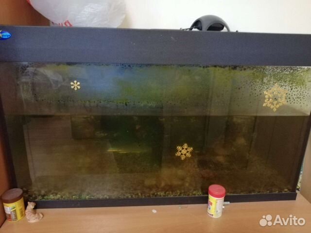 Продам запущенный аквариум