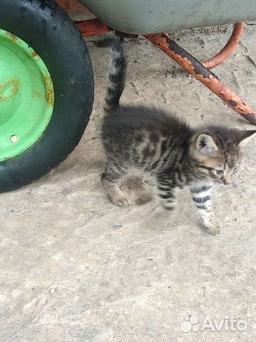 Мальчишка хочет домой