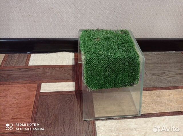 Островок для черепахи