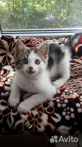 Сказочный улыбающийся малыш