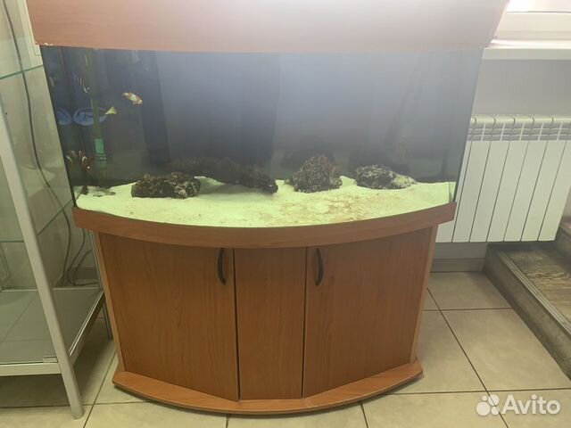 Морской аквариум