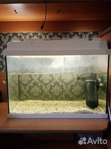 Аквариум 100 литров с рыбками