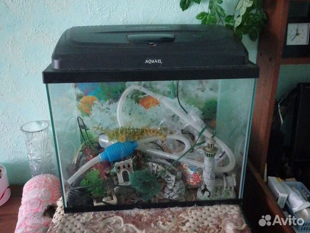 Аквариум