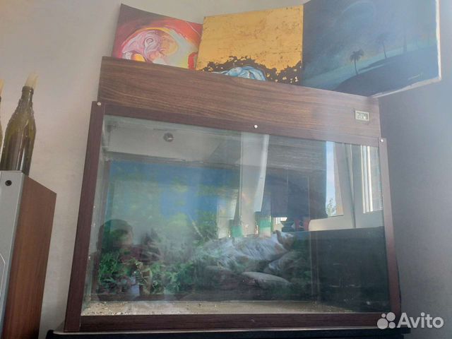 Аквариум 240л