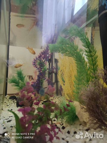 Аквариум с оборудованием