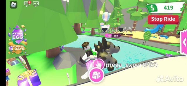 Пет Цербеус с флай Адопт ми