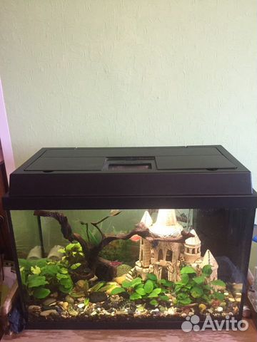 Аквариум 60 литров