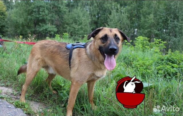 Лукас классный парень