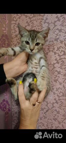 Очень красивая девочка ждет хозяина