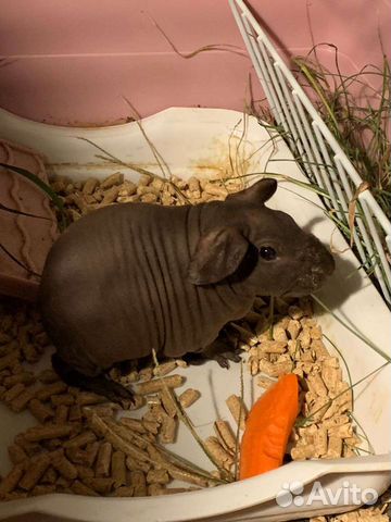 Девочка скинни