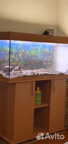 Аквариум juwel Rio180