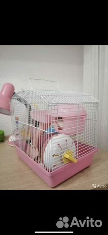 Джунгарик с клеткой