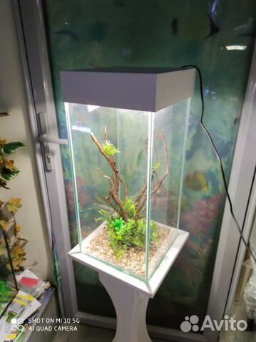 Аквариум