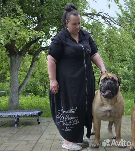 Бульмасочка