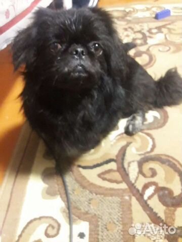 Создан для любви,ищу спутницу