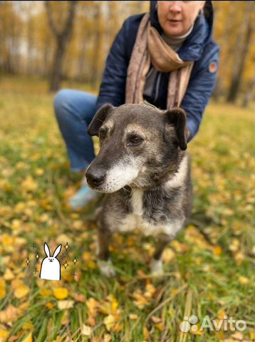 Плюша очень ласковая, возьми себе скорее