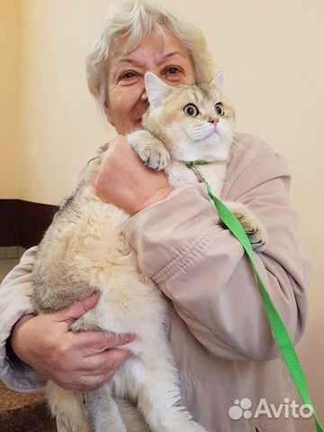 Золотые мальчики