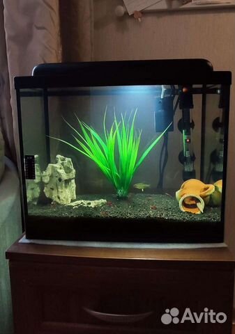 Аквариум с рыбками