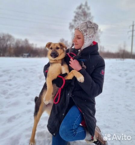 Помогите Лесси обрести дом и любовь пока она мален