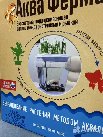 Акваферма